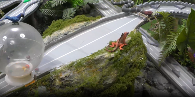 Marble Race Track For Adults: Marble Magic’s Themed Tracks